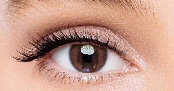 KateEye® Amber Brown Colored Contact Lenses